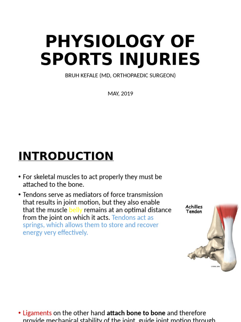 Physiology of Sports Injuries | PDF | Tendon | Wound Healing