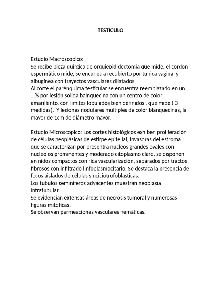 TESTICULO | PDF | Metástasis | Testículo