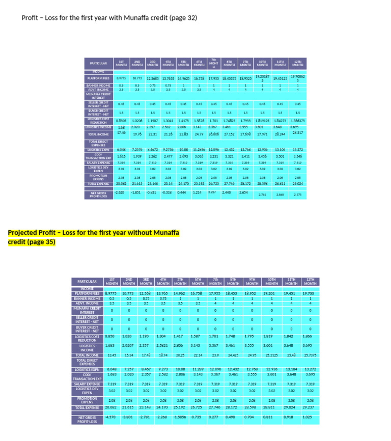 Year 1 Profit-Loss Analysis with Munaffa | PDF | Expense