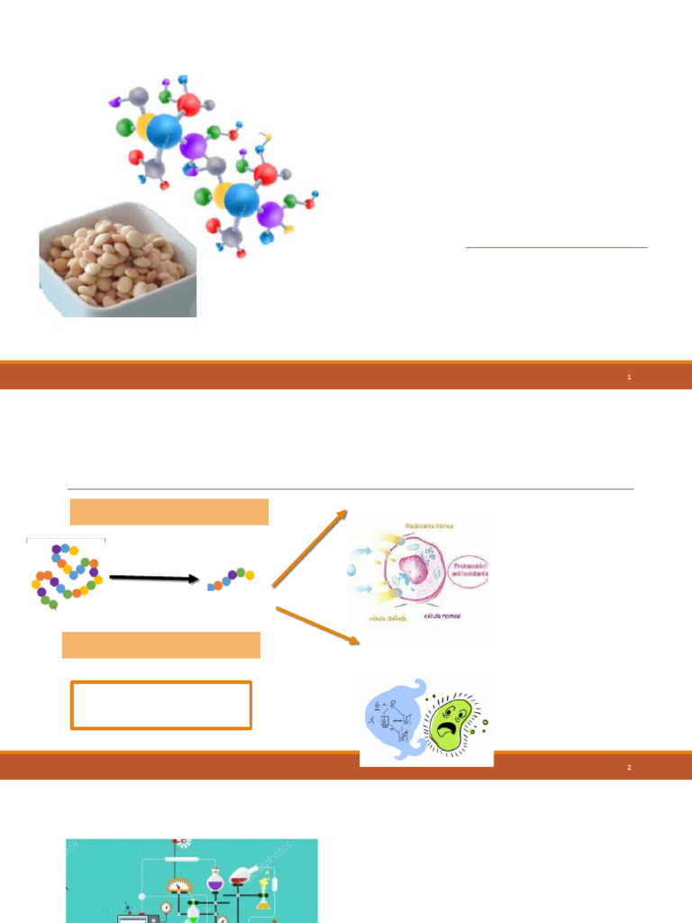 Bioactive Process | PDF