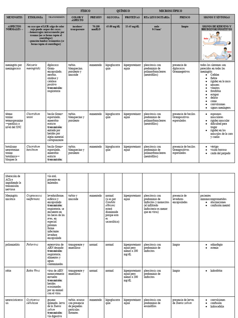 Meningitis: Tipos, Síntomas y Diagnóstico | PDF | Meningitis ...