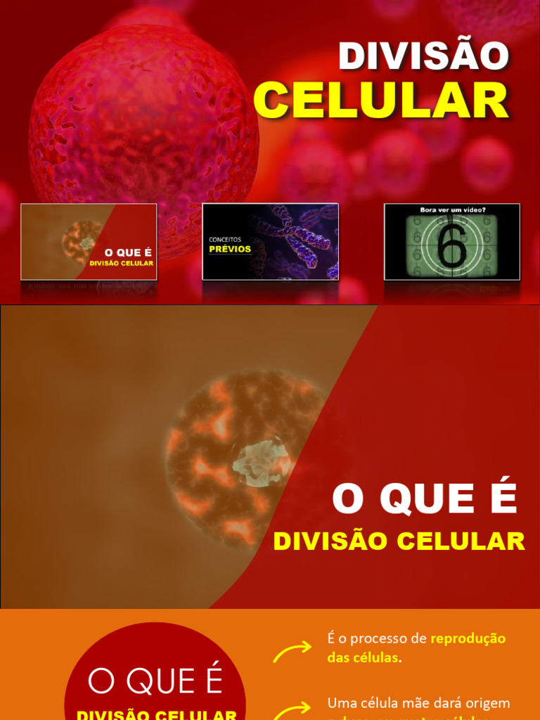 Divisão Celular | PDF | Meiose | Mitose