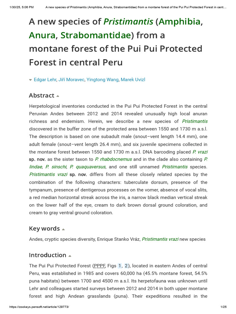 A New Species of Pristimantis (Amphibia, Anura, Strabomantidae) From A ...