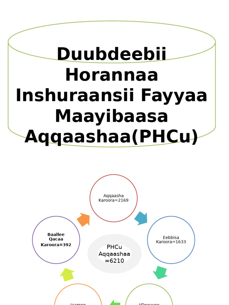 CBHI Trends of Daily Report | PDF