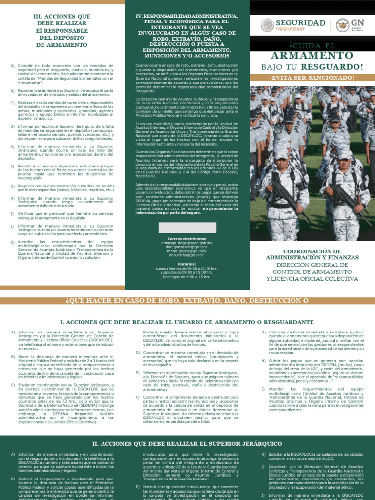 TRIPTICO ARMAMENTO Actual 251121 - Compressed | PDF