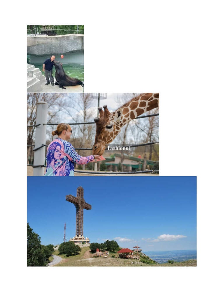 Album Skopje Glaven Grad | PDF