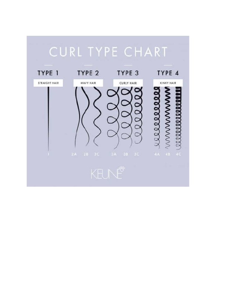 Curl Chart | PDF