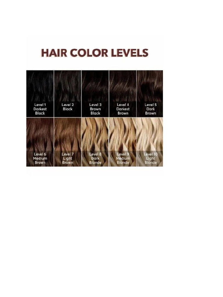 Hair Color Level | PDF