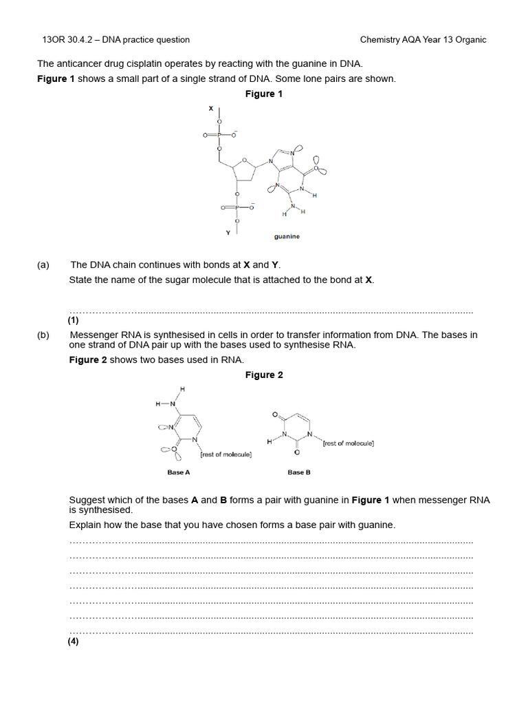 Dna 2 Pages | PDF