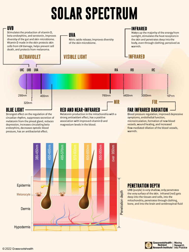 Handout 1 Sunlight Spectrum | PDF | Ultraviolet | Skin