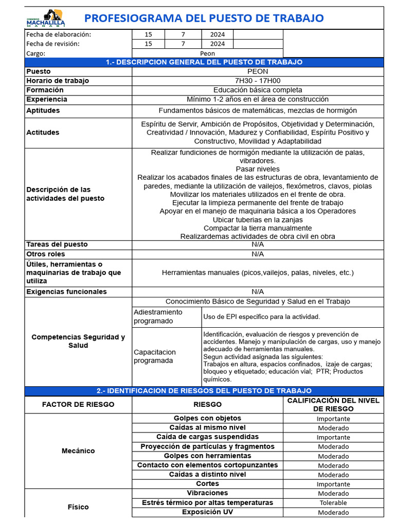 PROFESIOGRAMA PEON - XLSX - Hojas de Cálculo de Google | PDF | Seguridad y salud ocupacional