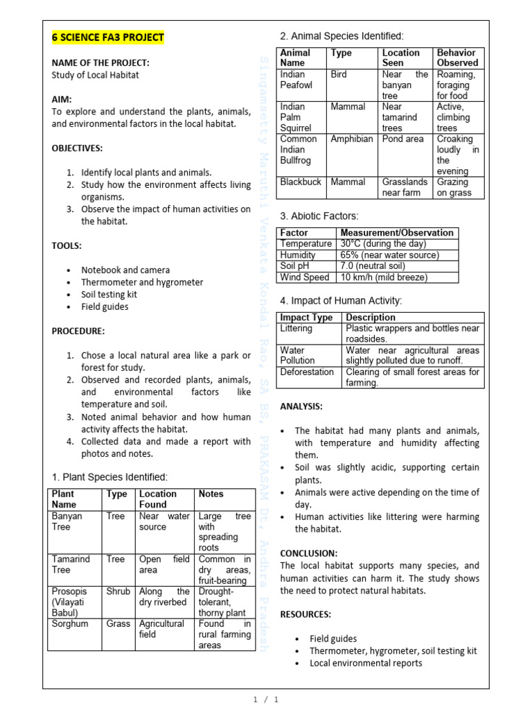 6-10 Fa3 Sci and Biology Exp & Projects | PDF | Seed | Fruit