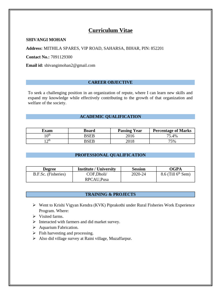 Curriculum Vitae_Ankit - Copy | PDF
