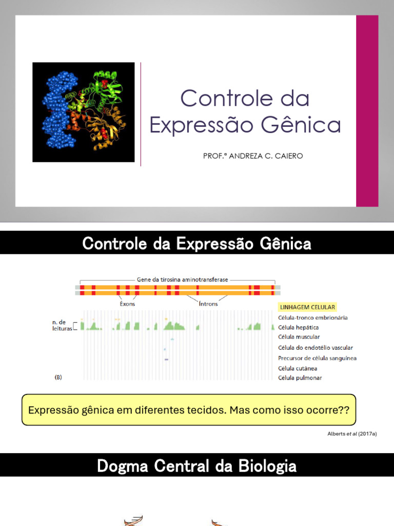 Aula - Expressão Gênica | PDF | Promotor (genética) | Gene