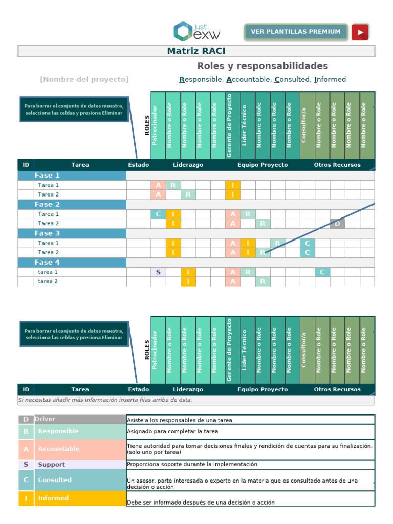 Matriz RACI: Roles y Responsabilidades | PDF