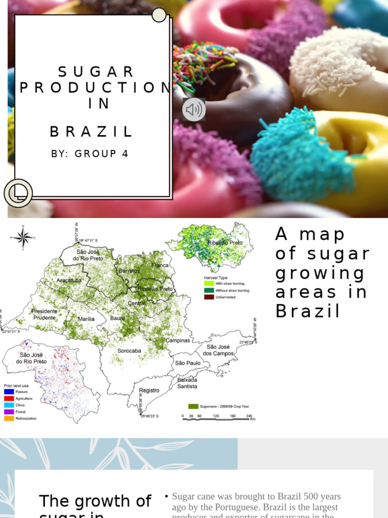 Sugar in Brazil - Geo | PDF | Sugarcane | Agriculture
