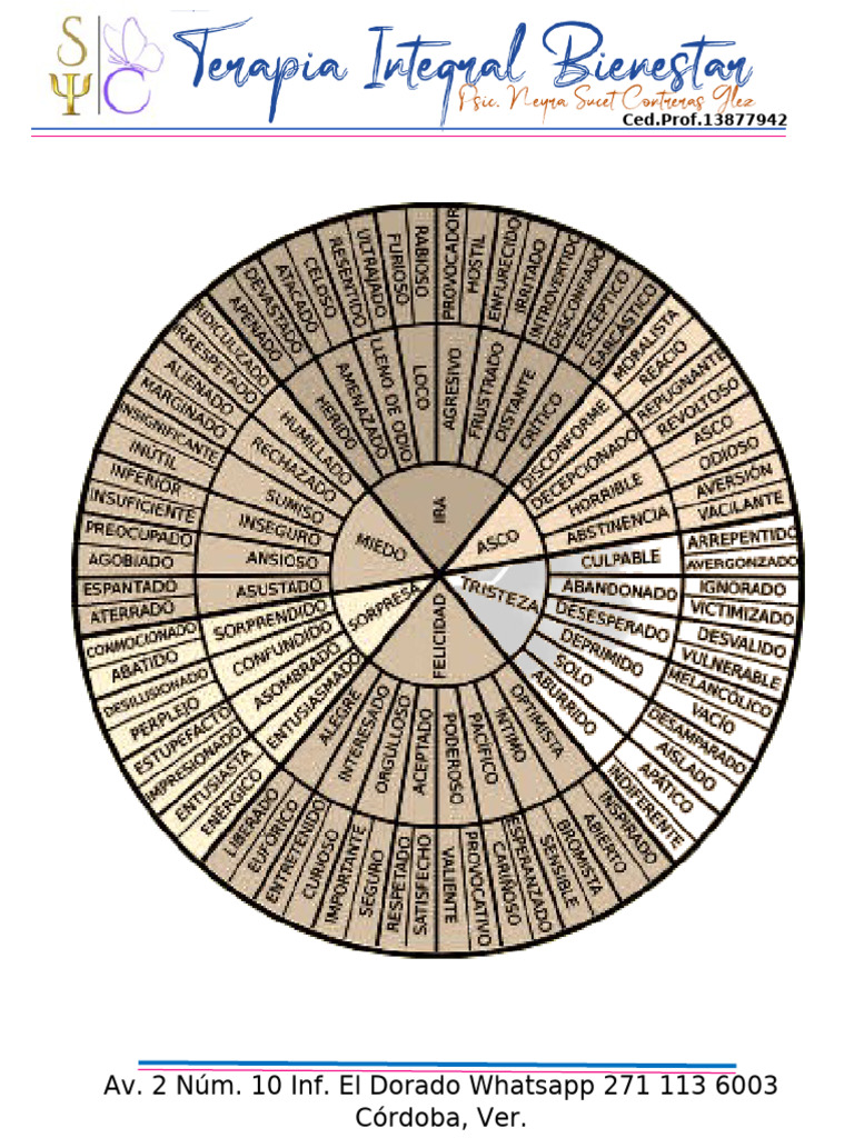 Circulo de Emociones | PDF