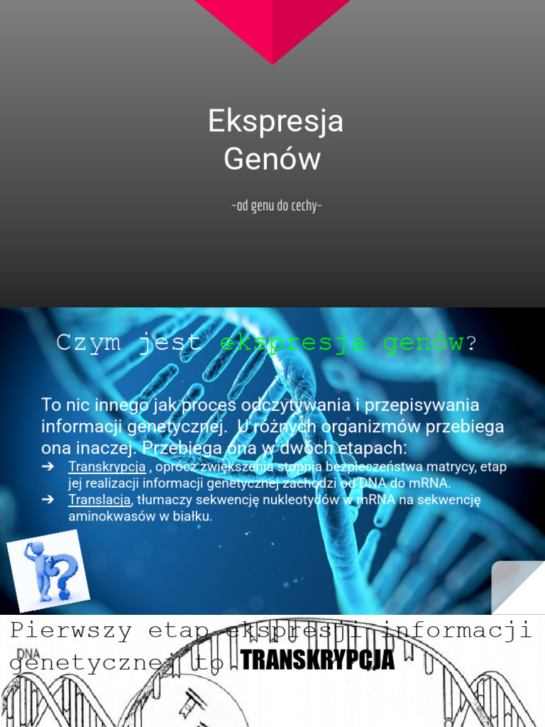 Ekspresja Genów | PDF