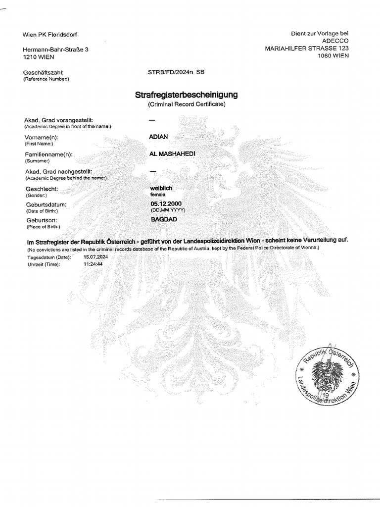 Strafregister Adian | PDF