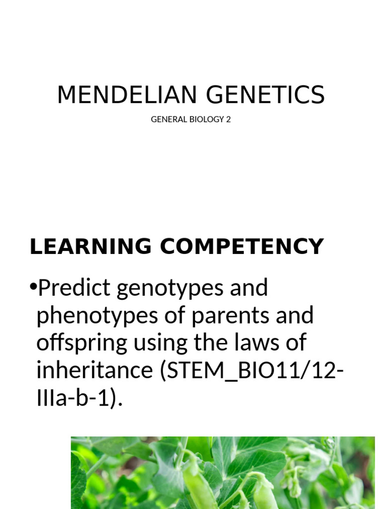 MENDELIAN-GENETICS-part-2 | PDF | Dominance (Genetics) | Genotype