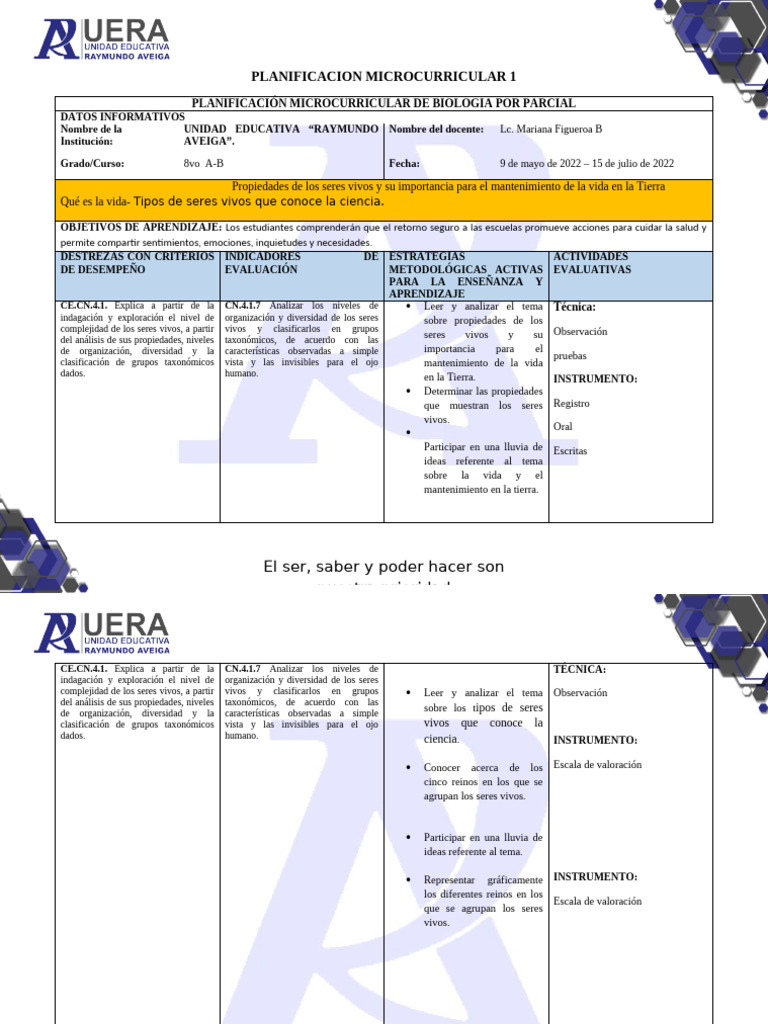 Planificación Primer Parcial-8vo | PDF | Aprendizaje | Enseñando