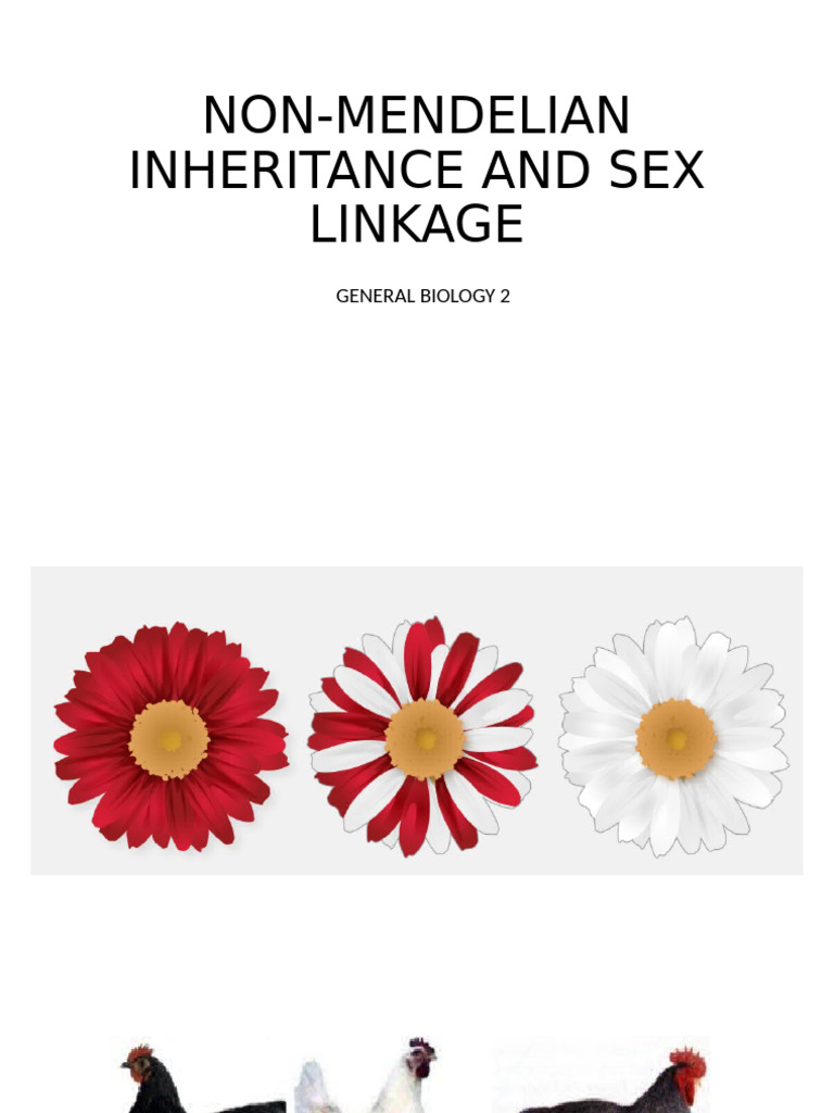 NON-MENDELIAN-INHERITANCE | PDF | Dominance (Genetics) | Allele