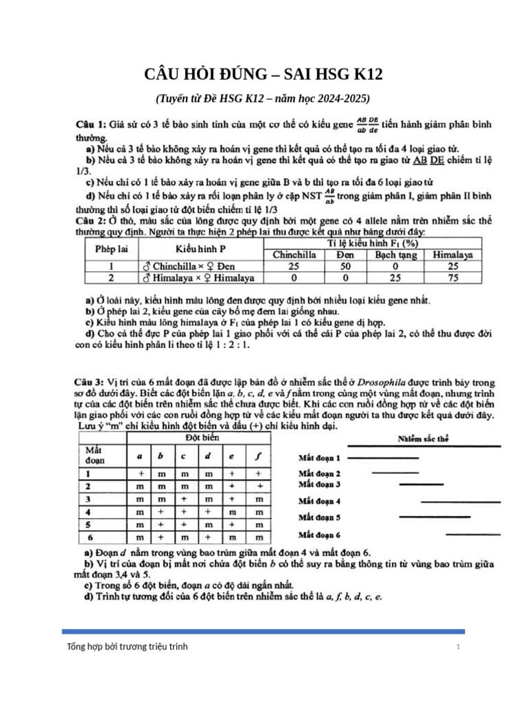 Câu Hỏi Đúng -Sai Hsg k12 | PDF