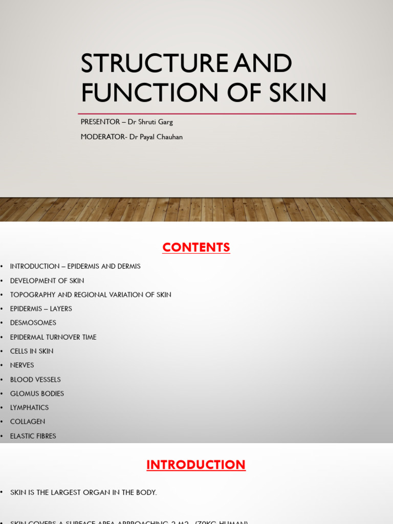Structure and Function of Skin | PDF | Skin | Epidermis