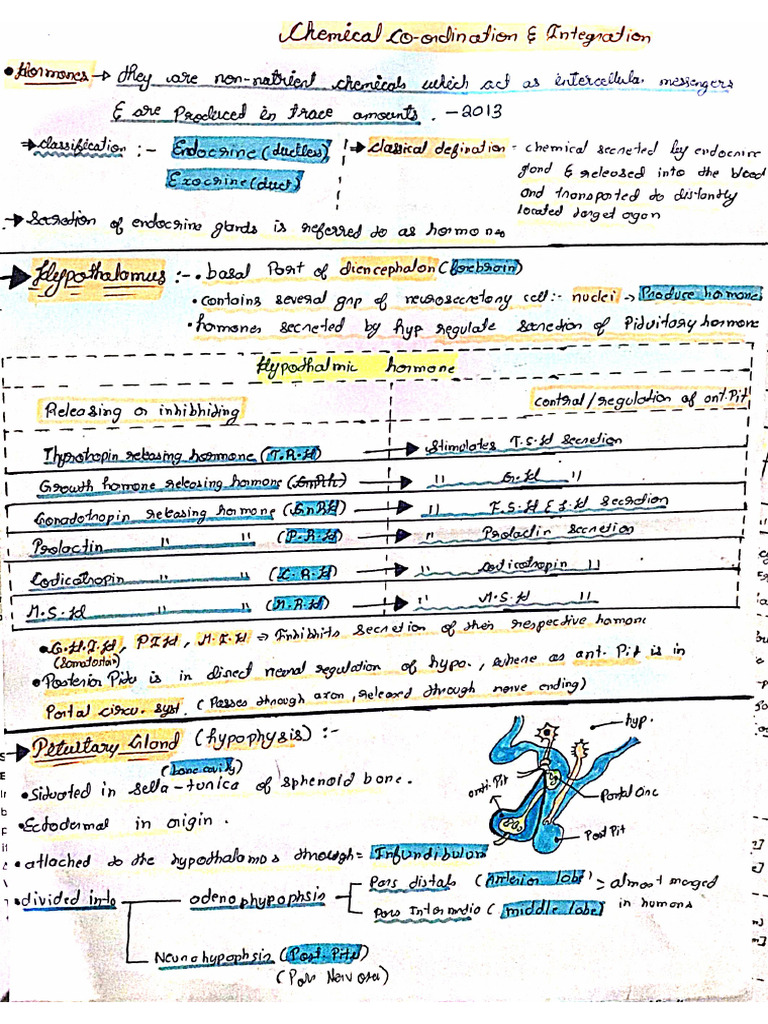 Bio Sample 3 | PDF