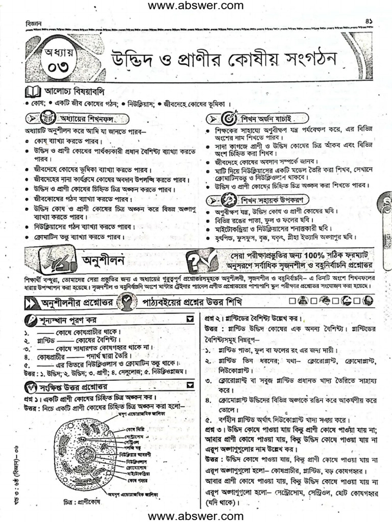 Chapter 3 - Class 6 Science Guide | PDF