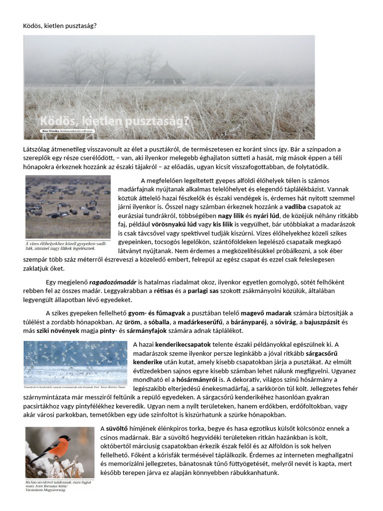 Ködös | PDF