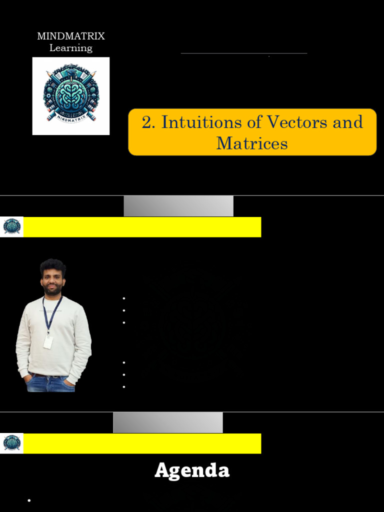 Lec2 Understanding Vectors and Matrices | PDF | Matrix (Mathematics) | Linear Algebra