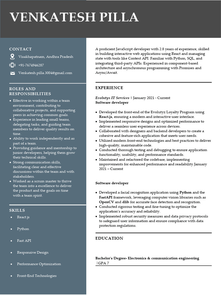 Software Developer Profile: React & Python | PDF | Software Development | Computing