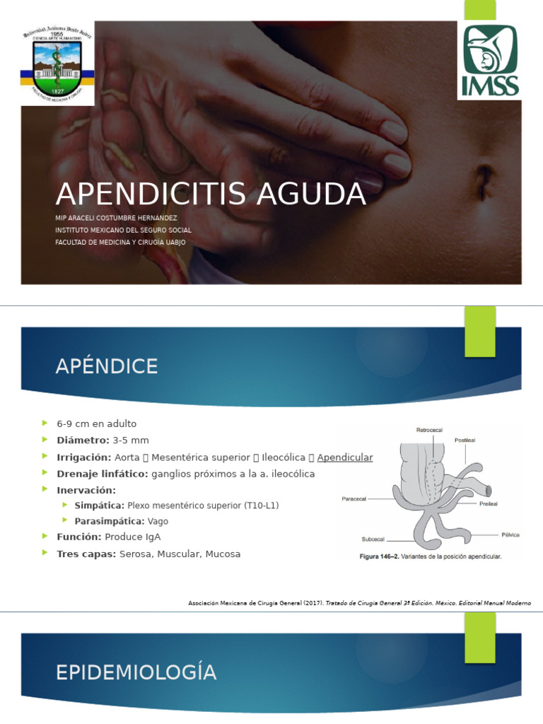Guía Completa sobre Apendicitis Aguda | PDF | Gastroenterología ...