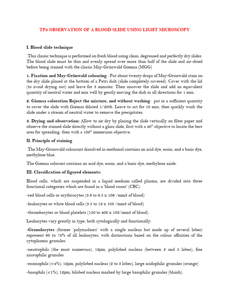 Tp2 Observation of A Blood Slide Using Light Micros | PDF | Staining | Blood Cell