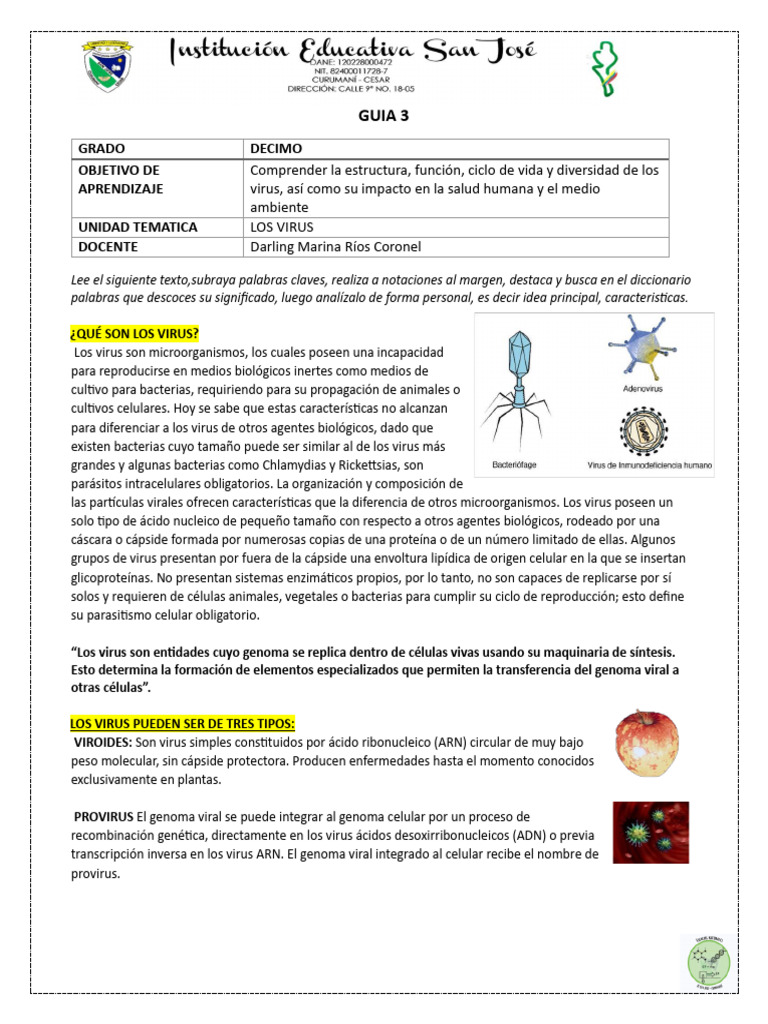 Estructura y ciclo de vida de los virus | PDF | Virus | Biología Celular)
