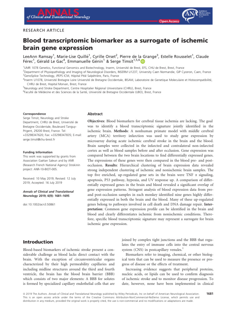 Blod Transcriptomics Monky Brain | PDF | Dna Microarray | Stroke