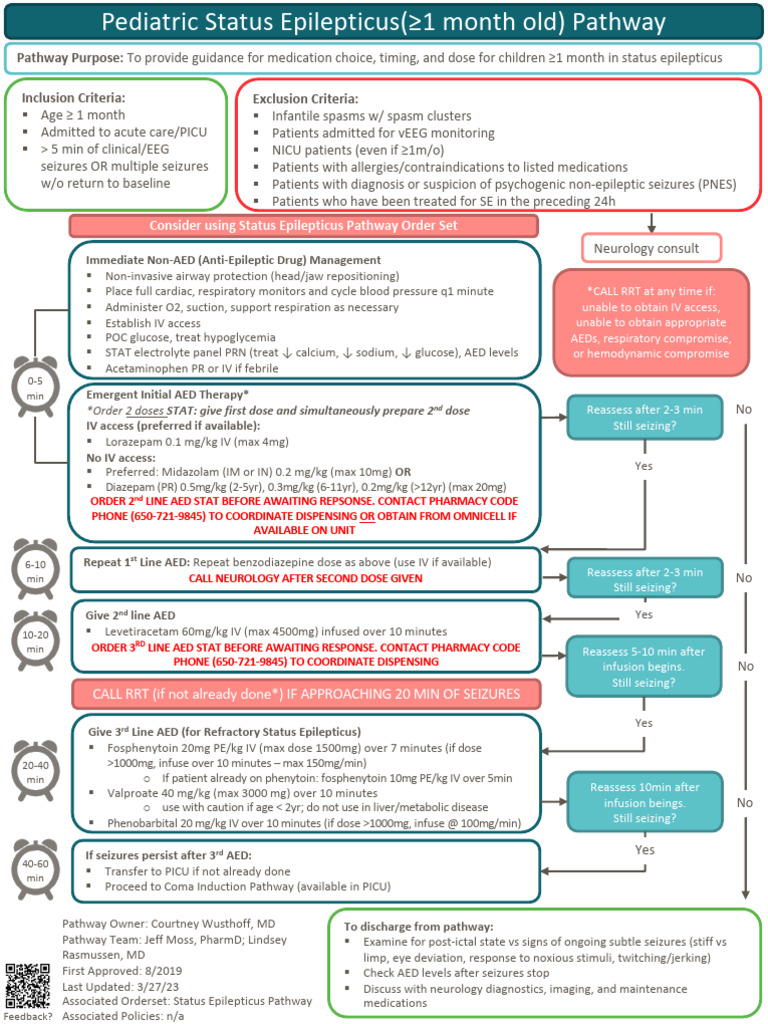 Status Epilepticus Older than 1 Month Old March2023 copy | PDF ...