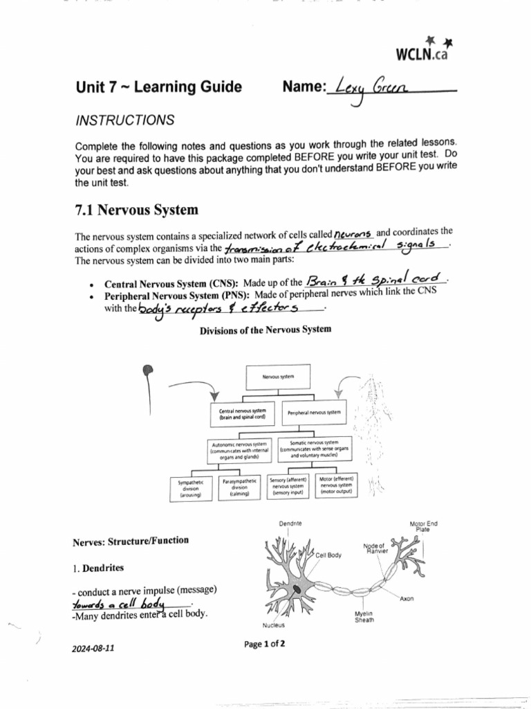 SAIL UNIT 7 Learning Guide Completed | PDF