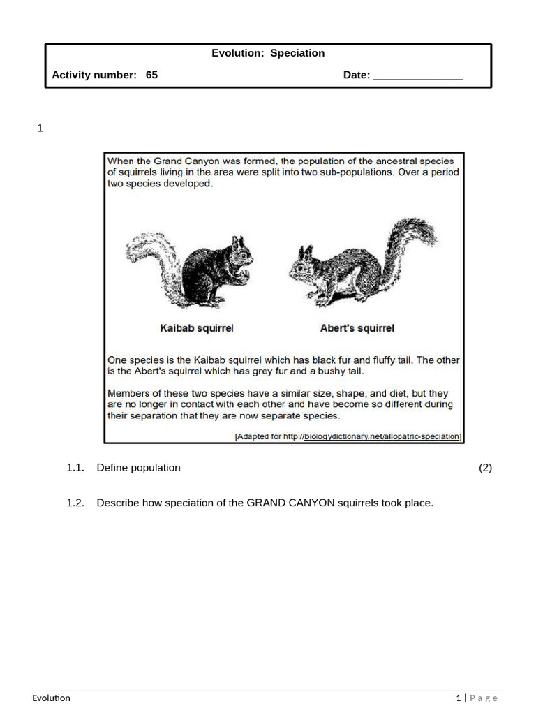 Activity 65 Speciation | PDF