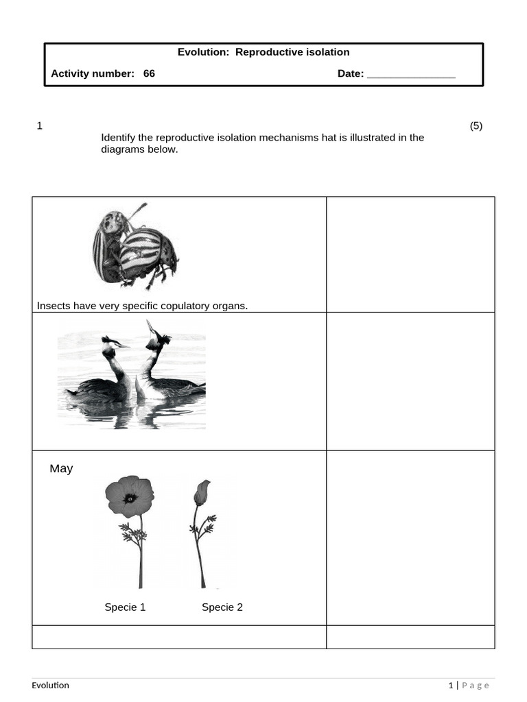 Reproductive Isolation Mechanisms Explained | PDF