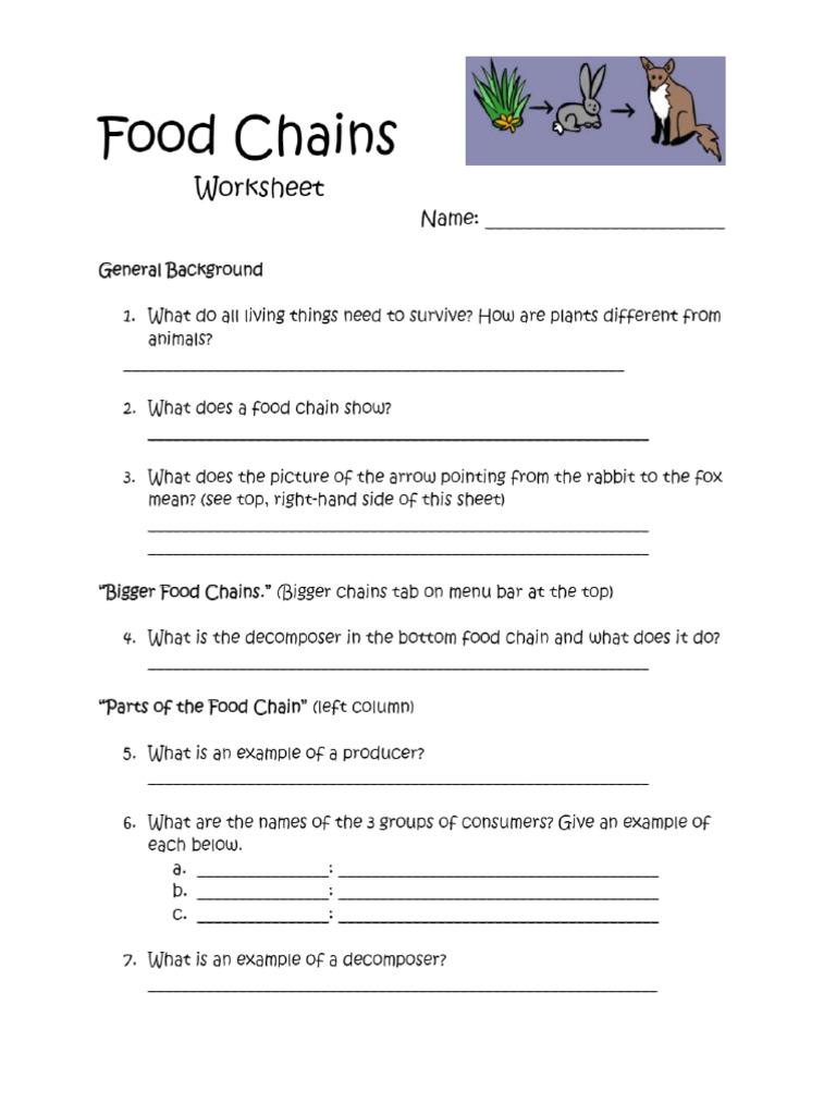 Food Chains Worksheet | PDF