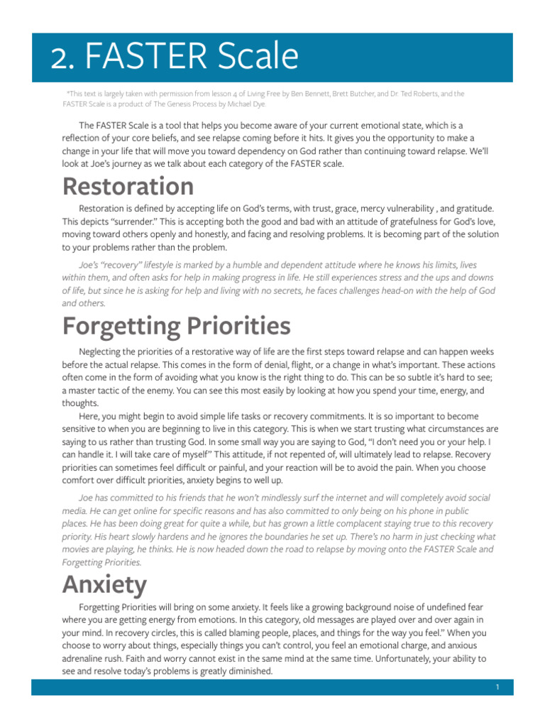 faster scale | PDF | Anger | Anxiety