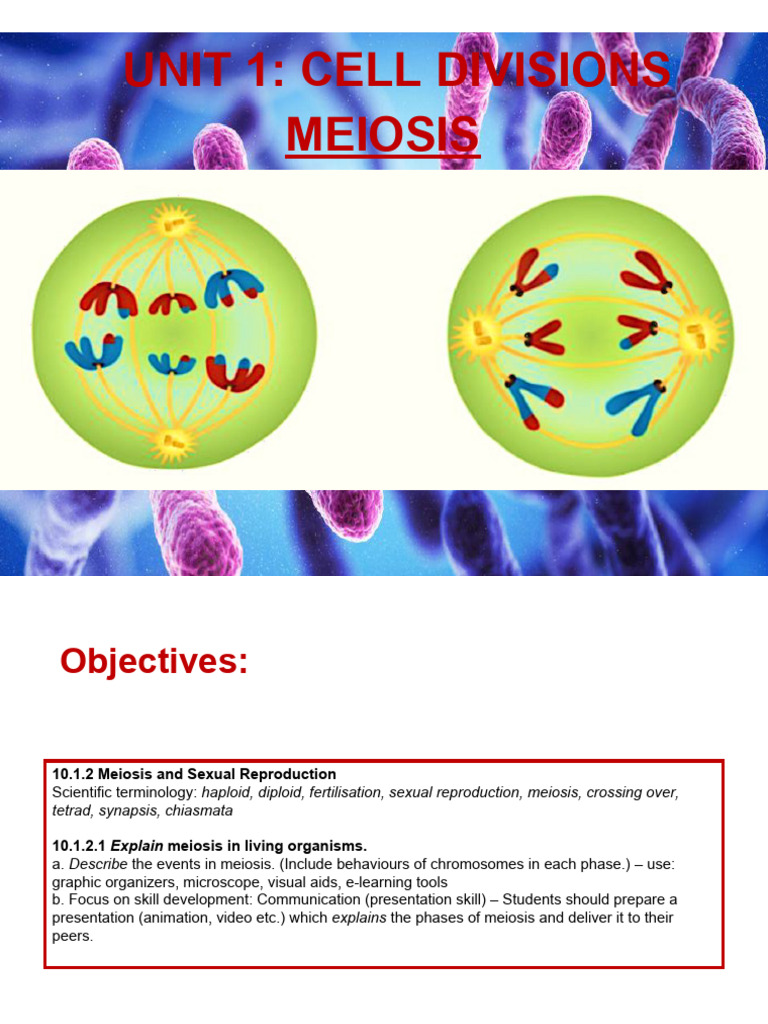 Meiosis Google Classroom | PDF | Meiosis | Mitosis