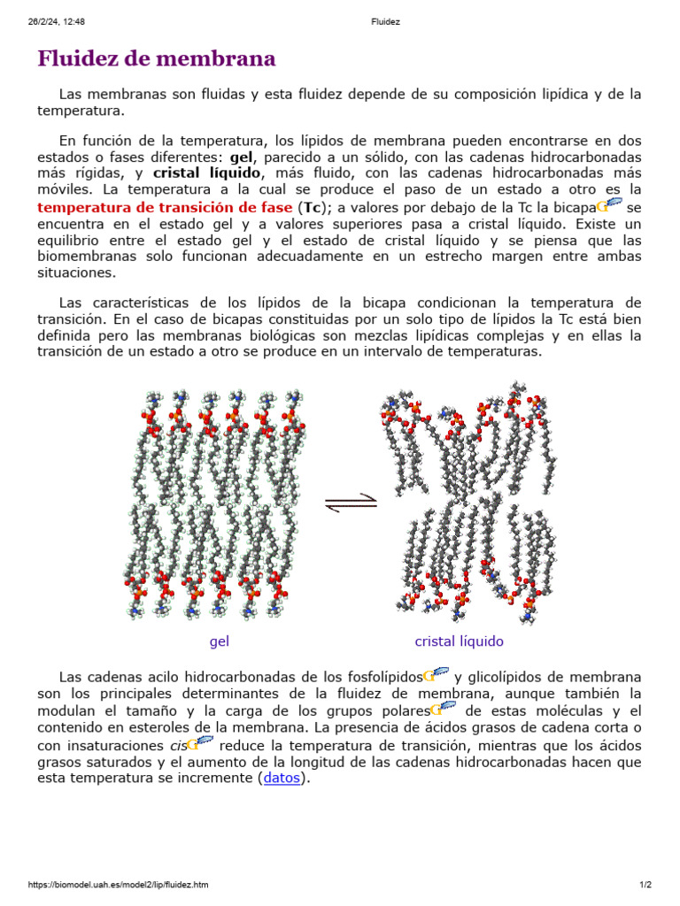 Fluidez de La Membrana T3 | PDF | Membrana biológica | Lípido