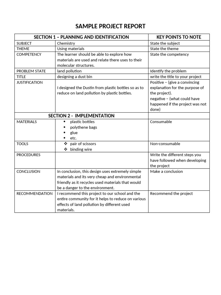 Sample Project Report | PDF