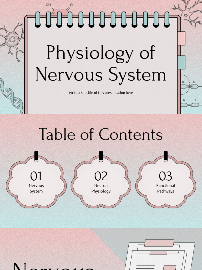 Nervous System Physiology Overview | PDF | Neurotransmitter ...