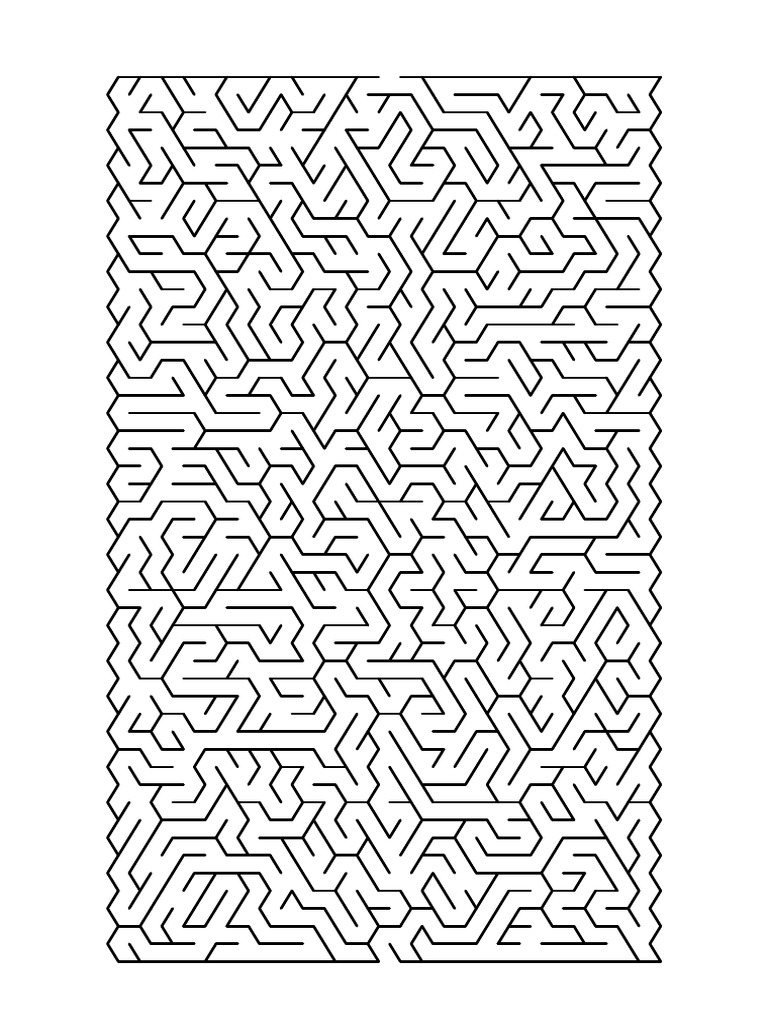 50 by 50 Delta Maze | PDF