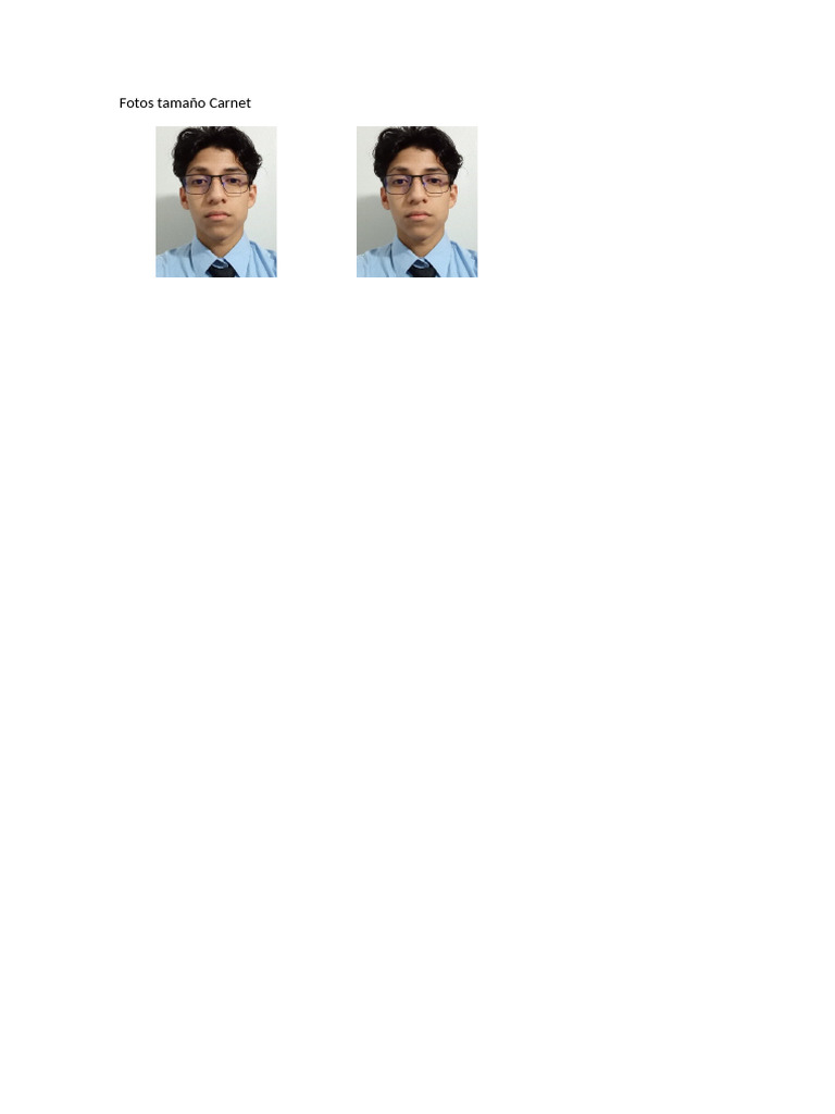 Medidas de Fotos Tipo Carnet | PDF