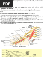 Brachial Plexus - Mnemonics | PDF | Limbs (Anatomy) | Musculoskeletal ...